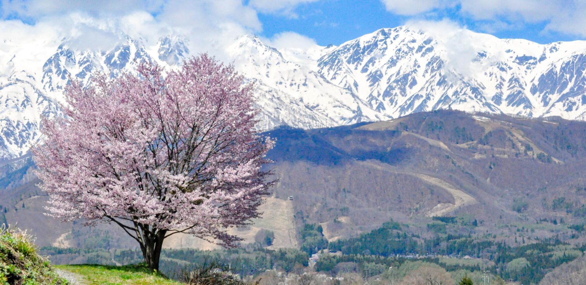 HOTEL LA VIGNE HAKUBA by Onko Chishin Official Website