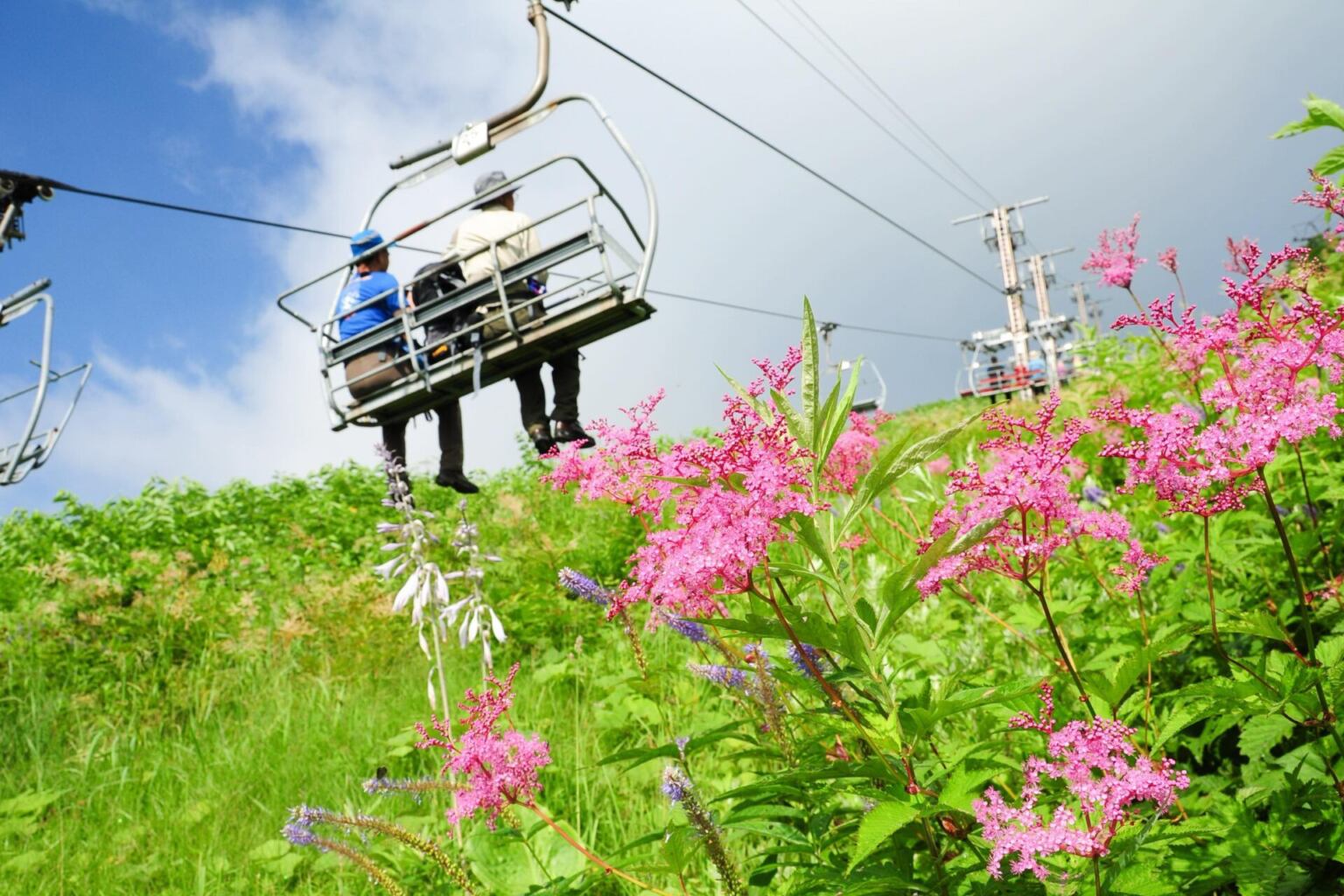 Surrounding Area - HOTEL LA VIGNE HAKUBA by Onko Chishin